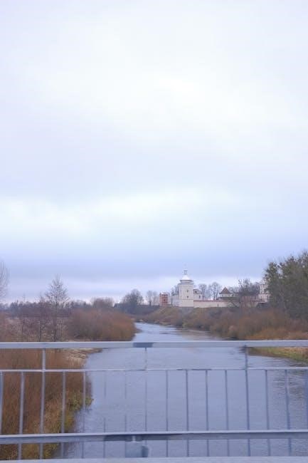 Dominate on Defense: 4-3 Blitz Packages – Free PDF!