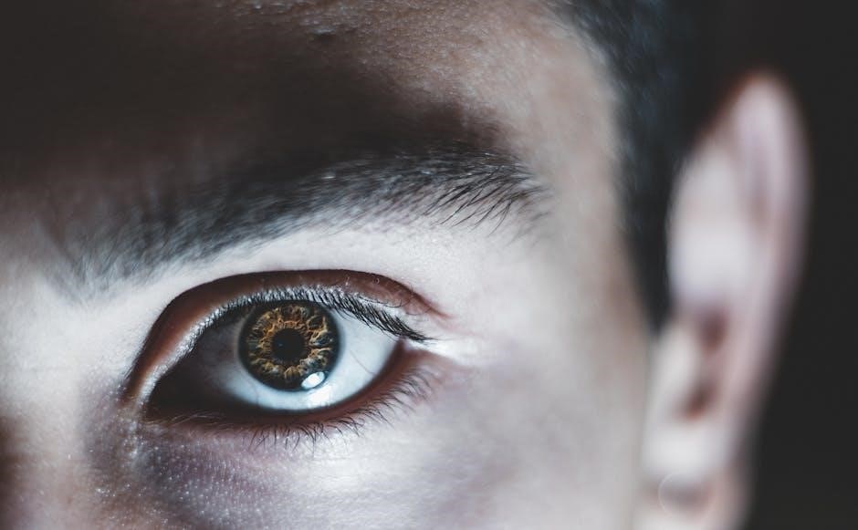 Human Anatomy: See Your Body Like Never Before!